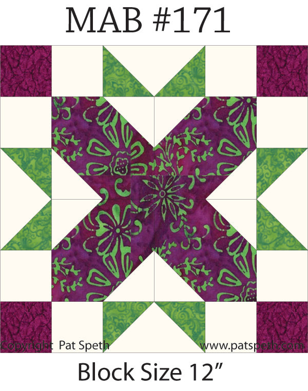 Member Appreciation Block #171 – Pat Speth Quilts